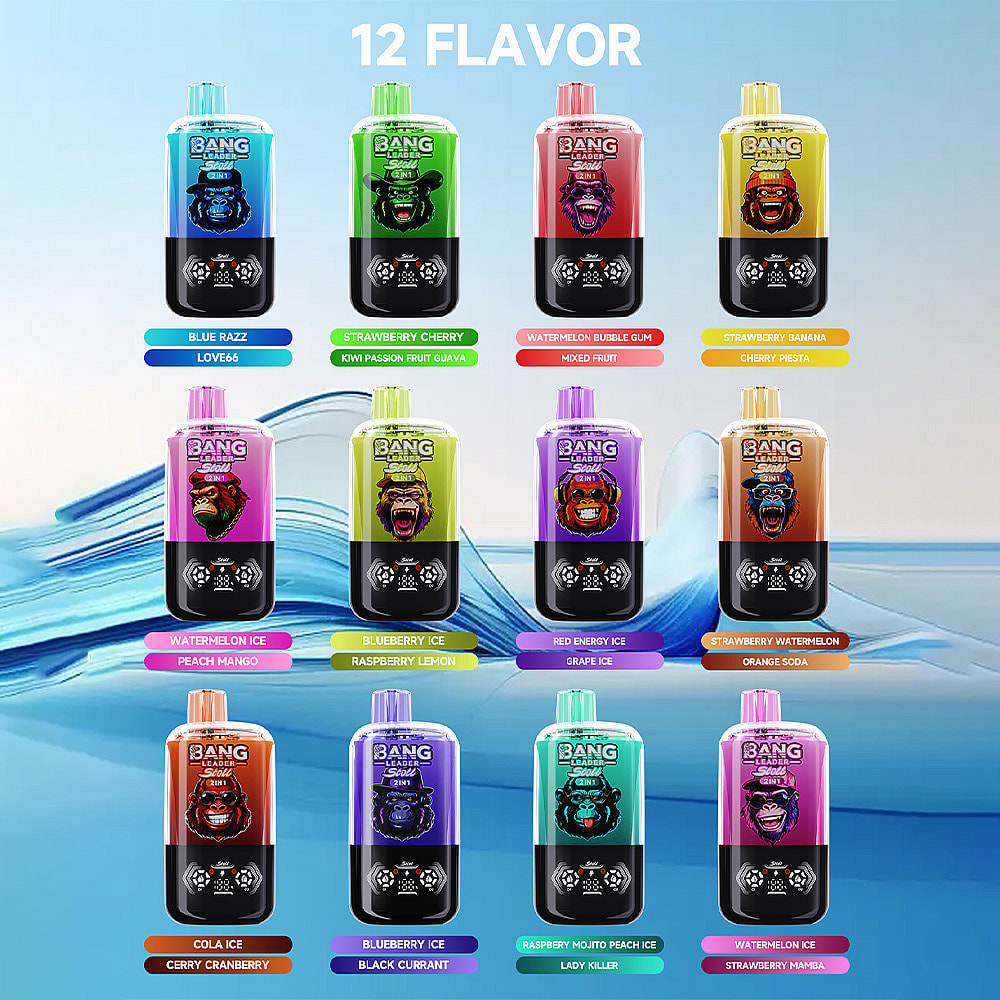 Bang Leader 120K – Dual-Flavor Disposable E-Cigarette With 120000 Puffs ...