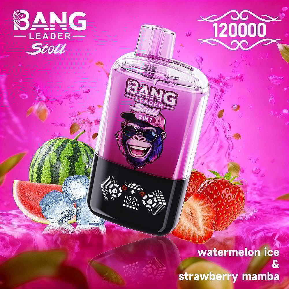 Bang Leader 120K – Dual-Flavor Disposable E-Cigarette With 120000 Puffs ...